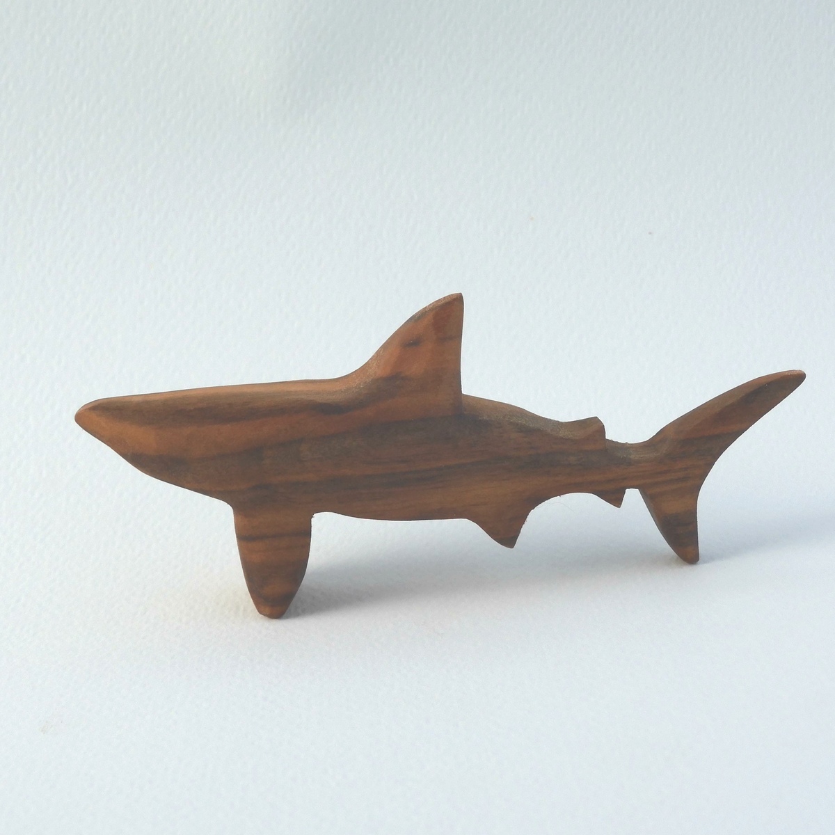 Requin – Quercus et Cie